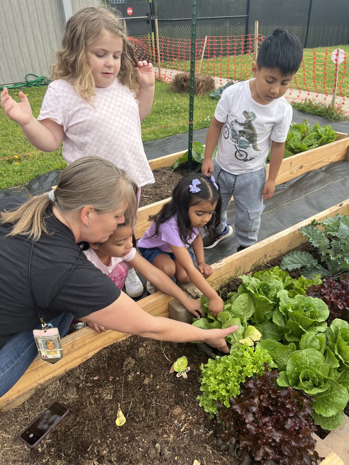 Garden Grants - Grow Appalachia